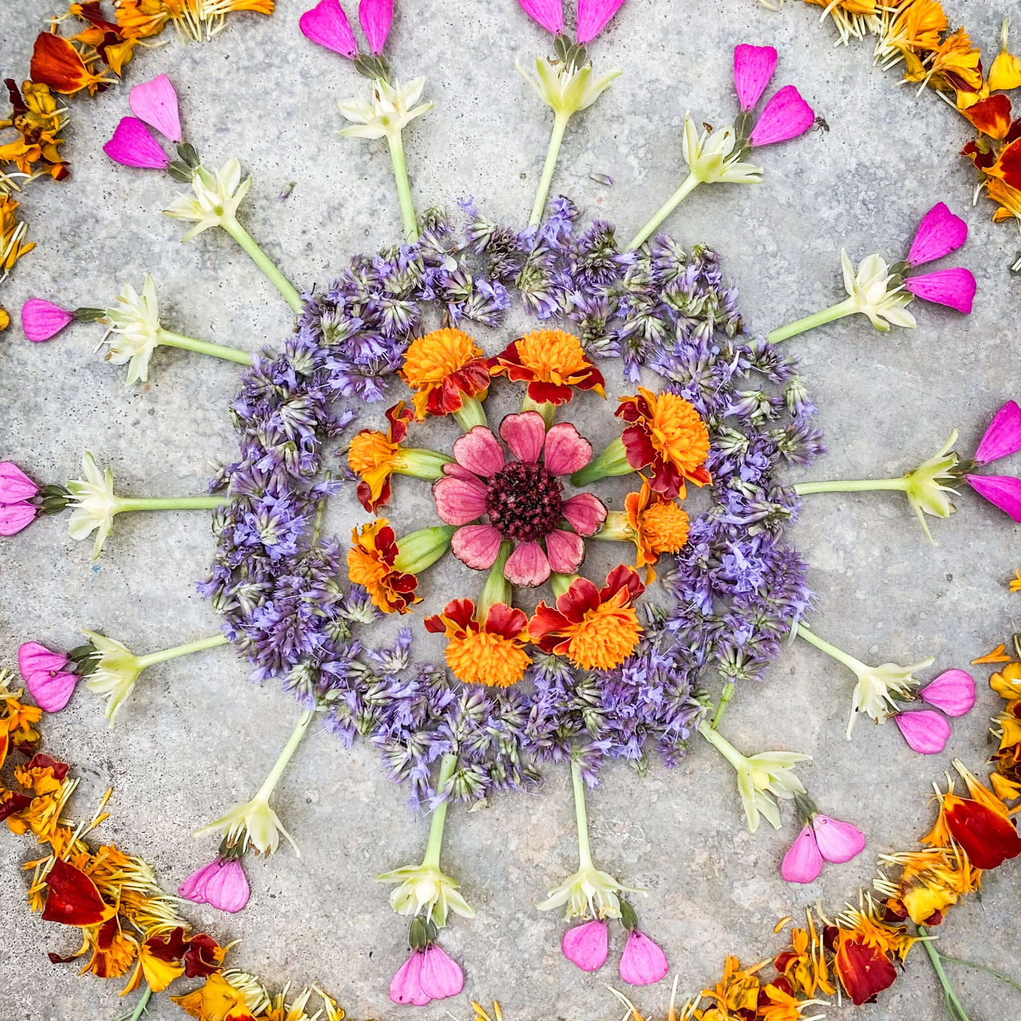 Workshop Archieven | Floral Dance Art